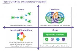 Accelerating Talent Development for High-Performing Teams