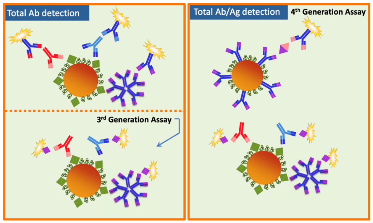 Most common Chemiluminescent immunoassay (CLIA) formats - Sepmag
