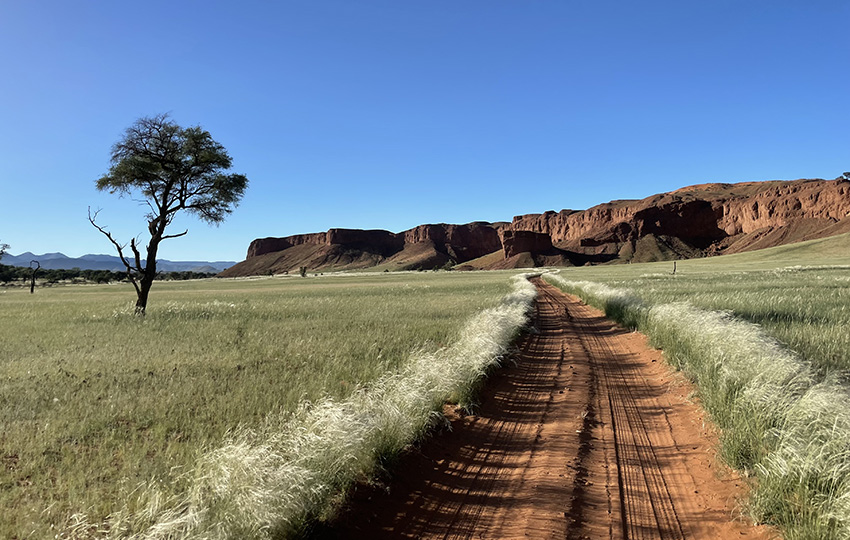 Green Season Special - Gondwana Card Promotion